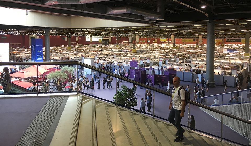 Jornal T – Première Vision: Verde é a cor das esperanças nacionais