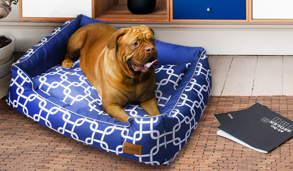 Jornal T – Spoman lança Tuko, a nova marca para cães e gatos